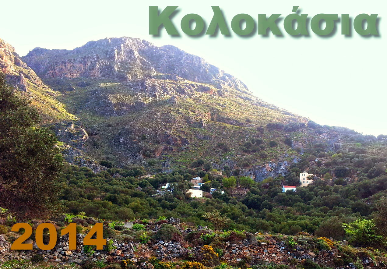 Kalos orisate sta Kolokasia (Sfakia) - Καλός ορίσατε στα Κολοκάσια Σφακίων